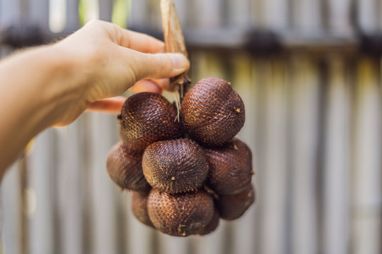 "Indonesian Fruits" Images – Browse 102 Stock Photos, Vectors, and ...