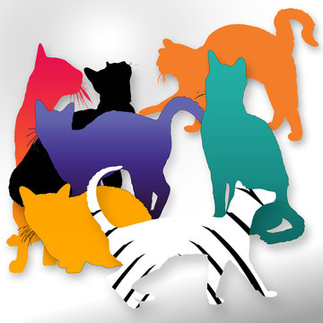 Felina Images – Browse 7,544 Stock Photos, Vectors, and Video | Adobe Stock