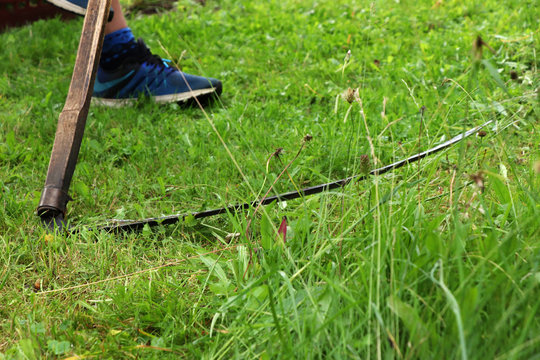 Grass Scythe Cutting Demonstration