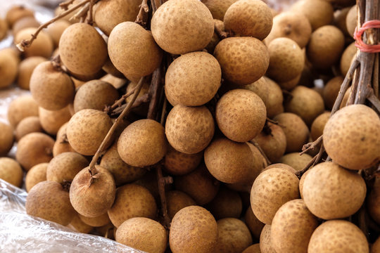 Longang Images – Browse 5 Stock Photos, Vectors, and Video | Adobe Stock