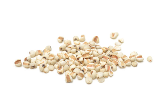 รูปภาพAdlay – เลือกดูภาพถ่ายสต็อก เวกเตอร์ และวิดีโอ2,955 | Adobe Stock