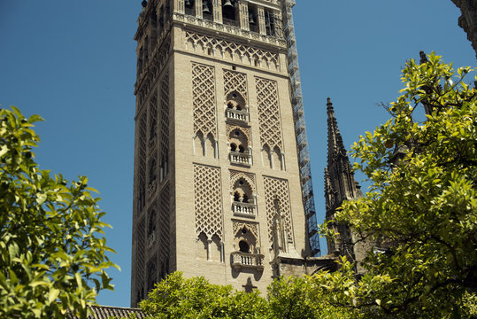 รูปภาพContrapicada – เลือกดูภาพถ่ายสต็อก เวกเตอร์ และวิดีโอ138 | Adobe ...