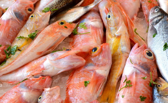 Pescheria Images – Browse 93 Stock Photos, Vectors, and Video | Adobe Stock