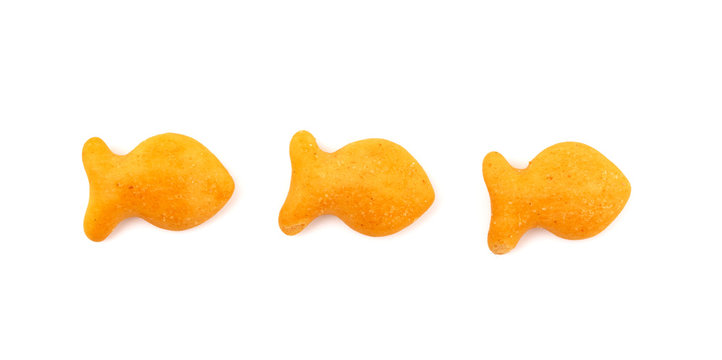 Goldfish Cracker Vector