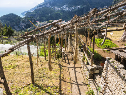 "Terrace Of Infinity" Images – Browse 111 Stock Photos, Vectors, and ...