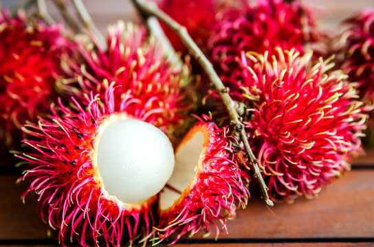 รูปภาพRambutan – เลือกดูภาพถ่ายสต็อก เวกเตอร์ และวิดีโอ24,816 | Adobe Stock