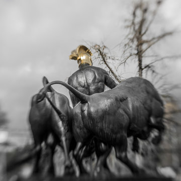 รูปภาพBullen – เลือกดูภาพถ่ายสต็อก เวกเตอร์ และวิดีโอ883 | Adobe Stock