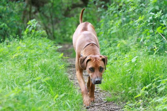 รูปภาพTobben – เลือกดูภาพถ่ายสต็อก เวกเตอร์ และวิดีโอ115 | Adobe Stock