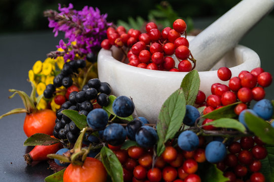 รูปภาพFliederbeeren – เลือกดูภาพถ่ายสต็อก เวกเตอร์ และวิดีโอ447 | Adobe ...