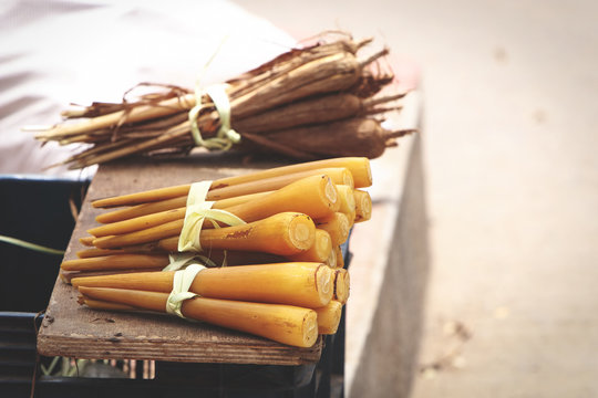 「Thegalu」の写真素材 | 4件の無料イラスト画像 | Adobe Stock