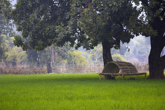 Machan Images – Browse 55 Stock Photos, Vectors, and Video | Adobe Stock