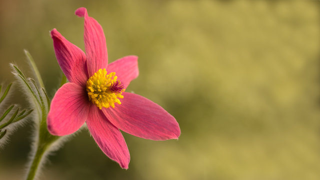 Entgegen-Bilder: Stock-Fotos & -Videos. | Adobe Stock