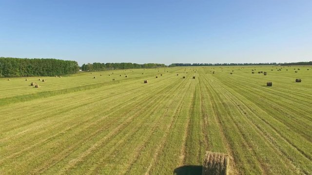 「Stook」の写真素材 | 267件の無料イラスト画像 | Adobe Stock