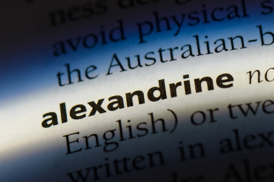 รูปภาพAlexandrine – เลือกดูภาพถ่ายสต็อก เวกเตอร์ และวิดีโอ1,332 | Adobe ...