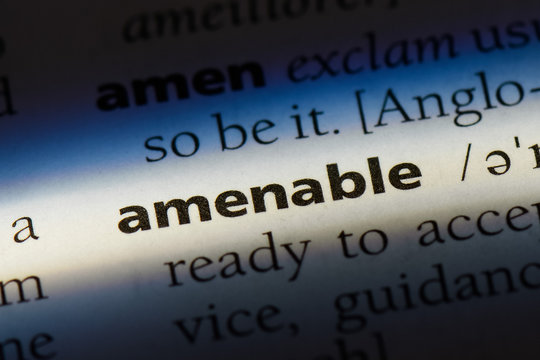 Amenable Images – Browse 3,630 Stock Photos, Vectors, and Video | Adobe ...