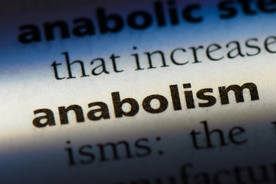 Anabolism Képek – Böngésszen 11,783 stockfotókat, vektorokat és ...