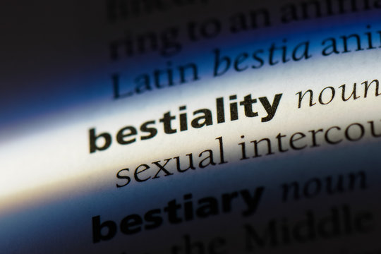Bestiality - Images et vidéos libres de droits | Adobe Stock