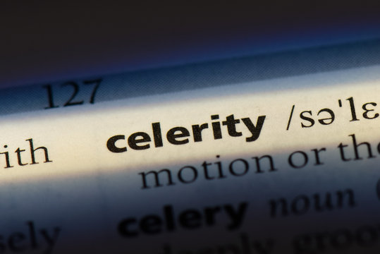 รูปภาพCelerity – เลือกดูภาพถ่ายสต็อก เวกเตอร์ และวิดีโอ16,429 | Adobe Stock