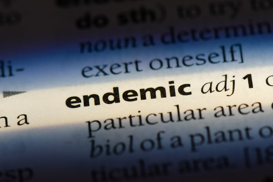 Endemie Bilder – Durchsuchen 120,643 Archivfotos, Vektorgrafiken und ...