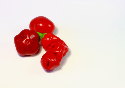 Chilly Willy Peppers