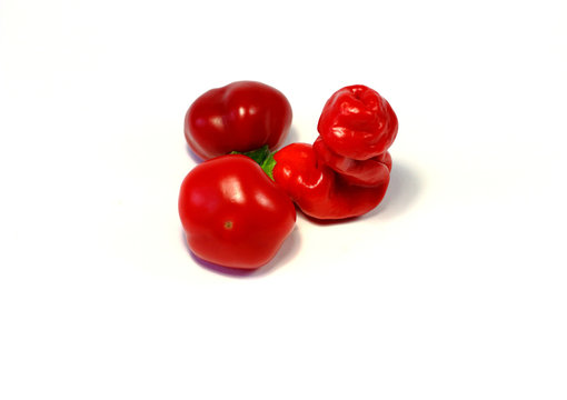 Chilly Willy Peppers