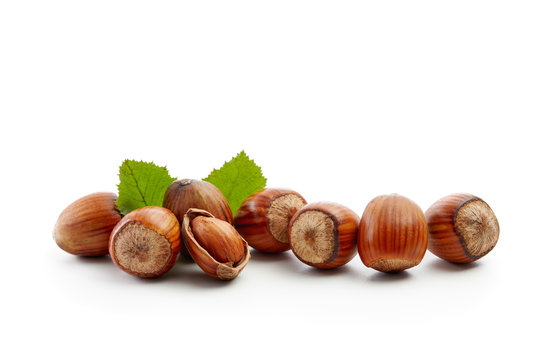 Hazelnut Images – Browse 4,695 Stock Photos, Vectors, and Video | Adobe ...