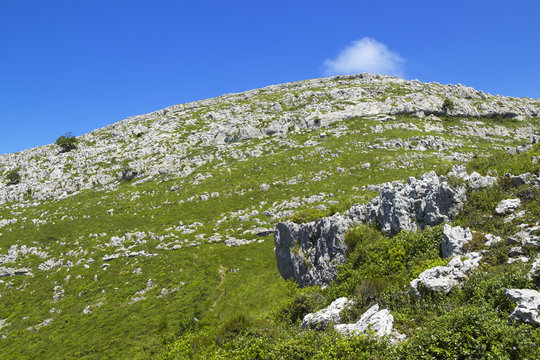 Imágenes de Liendo: descubre bancos de fotos, ilustraciones, vectores y ...