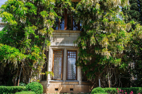 รูปภาพSukhumi – เลือกดูภาพถ่ายสต็อก เวกเตอร์ และวิดีโอ1,914 | Adobe Stock