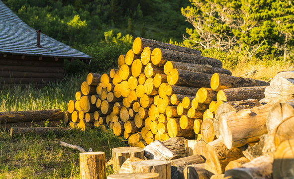 "Log Background"-Bilder: Stock-Fotos & -Videos. | Adobe Stock