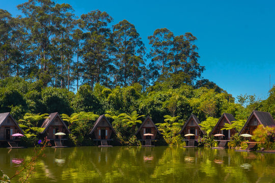 「Dusun」の写真素材 | 385件の無料イラスト画像 | Adobe Stock