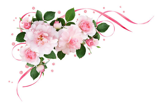 Pink Rose Corner Border