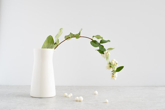 รูปภาพGhostberry – เลือกดูภาพถ่ายสต็อก เวกเตอร์ และวิดีโอ5,073 | Adobe ...