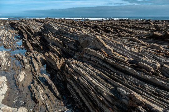 Cretacico Images – Browse 45 Stock Photos, Vectors, and Video | Adobe Stock