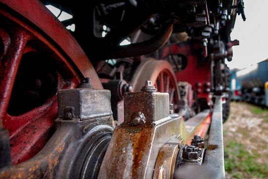 Ubex Images – Browse 39 Stock Photos, Vectors, and Video | Adobe Stock