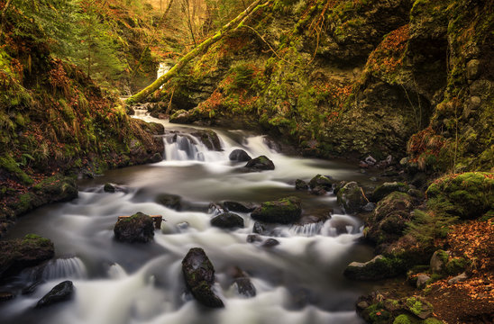 รูปภาพRocher – เลือกดูภาพถ่ายสต็อก เวกเตอร์ และวิดีโอ236,872 | Adobe Stock