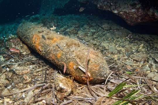 รูปภาพObus – เลือกดูภาพถ่ายสต็อก เวกเตอร์ และวิดีโอ499 | Adobe Stock