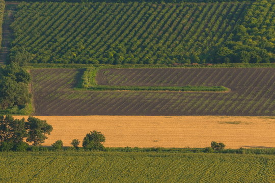 "Forest Belts" Images – Browse 56 Stock Photos, Vectors, and Video ...