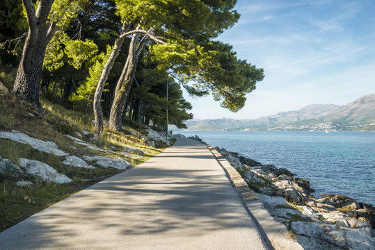 Cavat Images – Browse 50 Stock Photos, Vectors, and Video | Adobe Stock