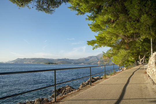 Cavat Images – Browse 50 Stock Photos, Vectors, and Video | Adobe Stock