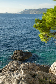 Cavat Images – Browse 50 Stock Photos, Vectors, and Video | Adobe Stock