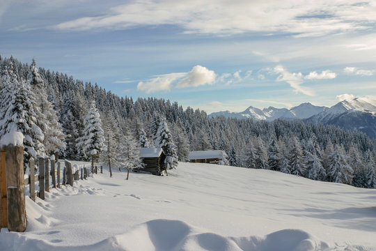 รูปภาพScheuer – เลือกดูภาพถ่ายสต็อก เวกเตอร์ และวิดีโอ349 | Adobe Stock