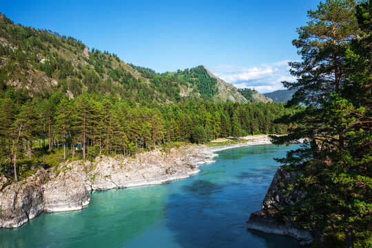 Ascat Images – Browse 63 Stock Photos, Vectors, and Video | Adobe Stock