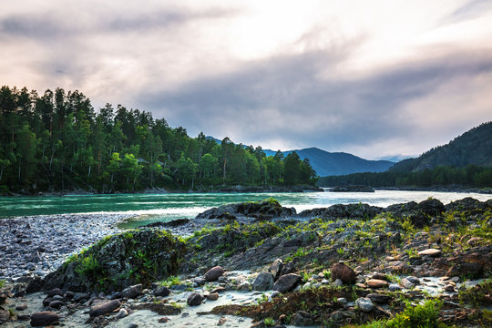 Ascat Images – Browse 63 Stock Photos, Vectors, and Video | Adobe Stock