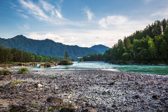 Ascat Images – Browse 63 Stock Photos, Vectors, and Video | Adobe Stock