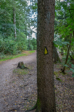 Weisend Bilder – Durchsuchen 286 Archivfotos, Vektorgrafiken und Videos ...