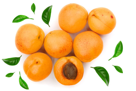 Marille Bilder – Durchsuchen 17,288 Archivfotos, Vektorgrafiken und ...