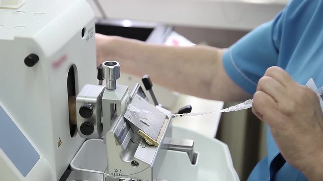 "Anatomic Pathology" Billeder – Gennemse 588 stockfotos, vektorer og ...