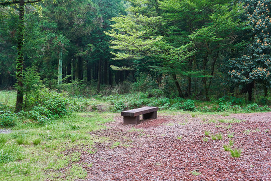 รูปภาพIsand – เลือกดูภาพถ่ายสต็อก เวกเตอร์ และวิดีโอ510 | Adobe Stock