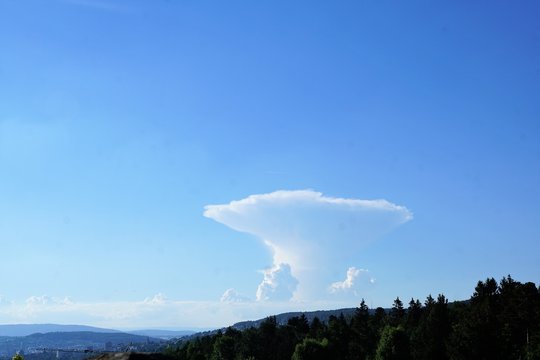 「Cumulon」の写真素材 | 95件の無料イラスト画像 | Adobe Stock