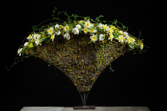 Fanwise-Bilder: Stock-Fotos & -Videos. | Adobe Stock